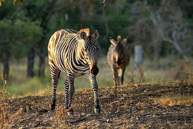 Become a Ranch Hand for a Day in Fredericksburg - Who Should Consider This Tour?