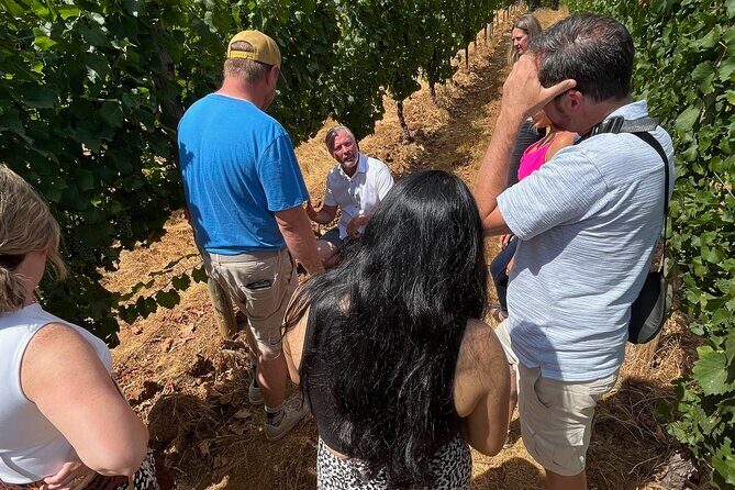 Bed and Breakfast Wine Tour - Small Group, Joinable/Sharable - Pricing and Value