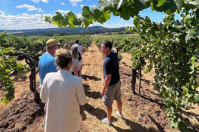 Bed and Breakfast Wine Tour - Small Group, Joinable/Sharable - Final Thoughts
