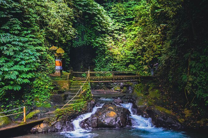 Bedugul and Singaraja Tour - Authentic Experiences & Hidden Gems