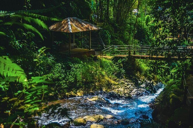 Bedugul and Singaraja Tour - The Sum Up: Who Should Consider This Tour?