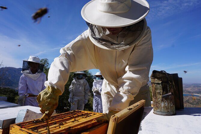 Bee Excursions in the Sierra de Cadiz - Why This Tour Offers Great Value