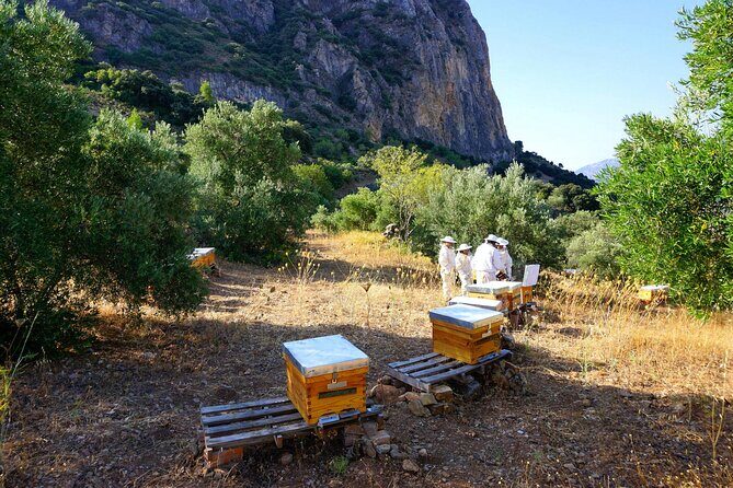 Bee Excursions in the Sierra de Cadiz - Frequently Asked Questions