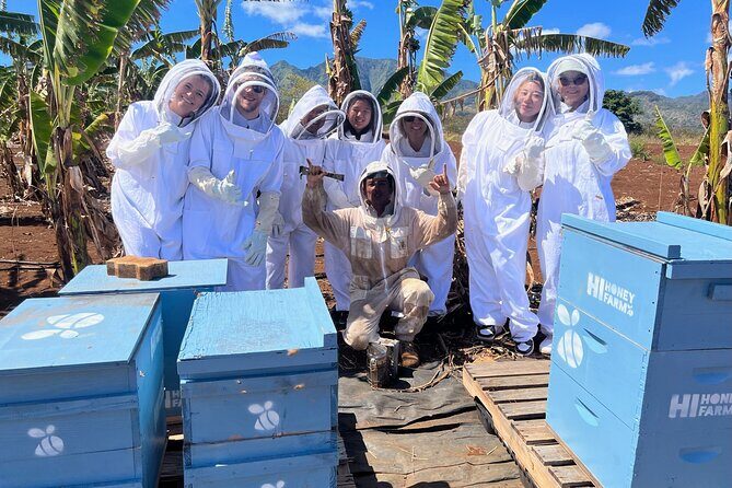 Bee Farm Ecotour and Honey Tasting in Waialua, North Shore Oahu - Introducing the Bee Farm Ecotour and Honey Tasting in Waialua