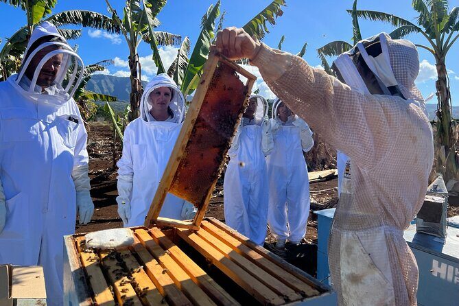 Bee Farm Ecotour and Honey Tasting in Waialua, North Shore Oahu - Practical Details and Tips