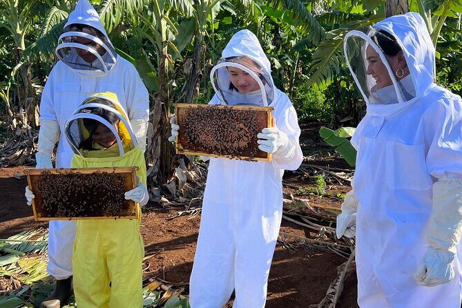 Bee Farm Ecotour and Honey Tasting in Waialua, North Shore Oahu - Authenticity and Reviews