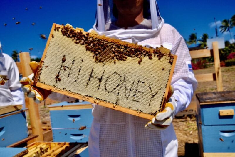 Bee Farm Tour & Honey Tasting - An Up-Close Look at the Bee Farm Tour Experience