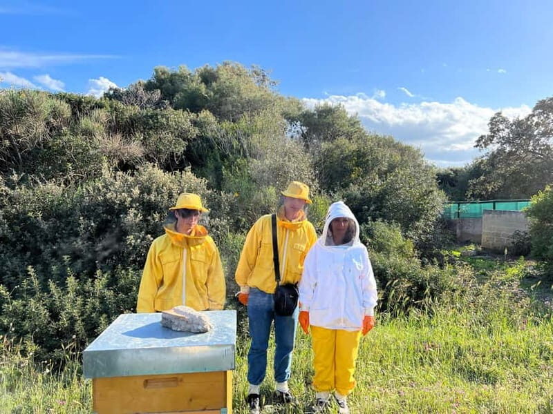 Beekeeper for a Day in the Torre Guaceto Reserve - Key Points