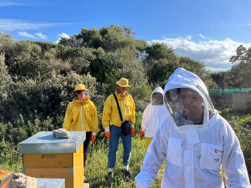 Beekeeper for a Day in the Torre Guaceto Reserve - Diving Into the Experience: What To Expect