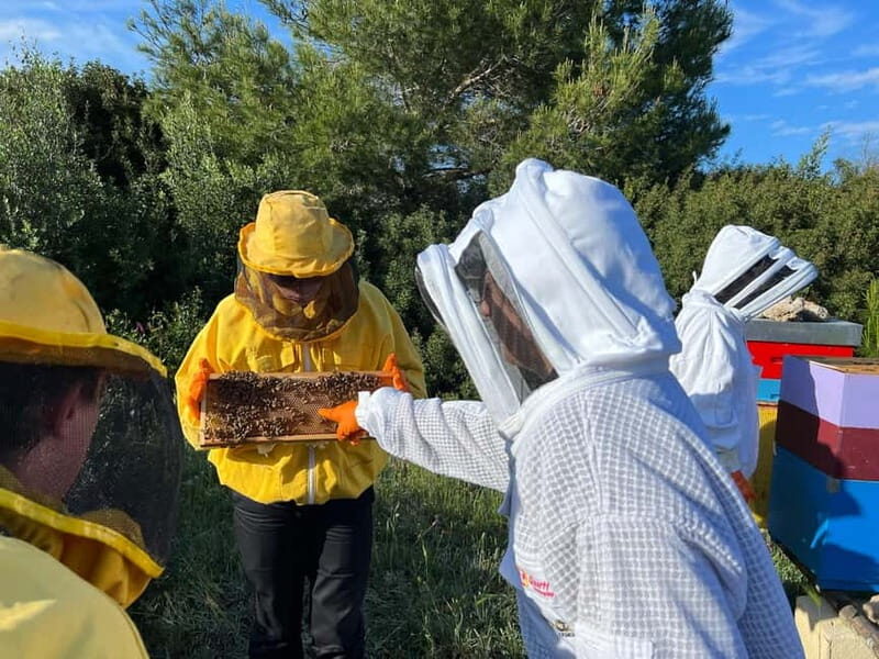 Beekeeper for a Day in the Torre Guaceto Reserve - Authenticity and Overall Experience
