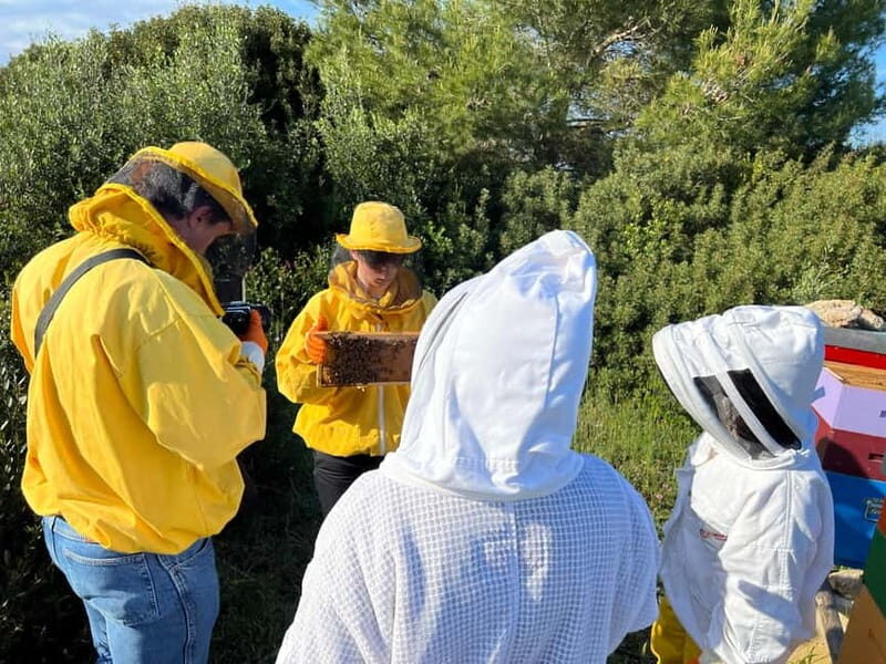 Beekeeper for a Day in the Torre Guaceto Reserve - The Sum Up