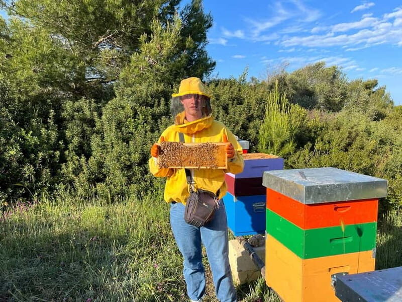 Beekeeper for a Day in the Torre Guaceto Reserve - FAQ