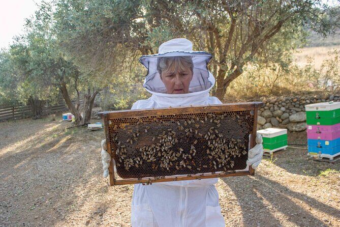 Beekeeping and Honey Stories in Itea - Authentic Reviews and What They Say