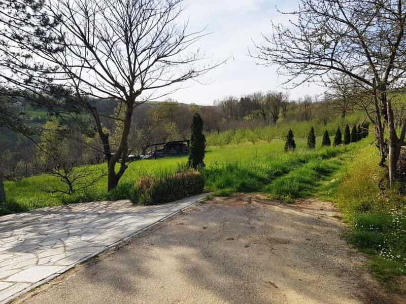 Beekeeping Tour and Honey Tasting Experience in Monferrato - An Engaging Look into the Beekeeping Experience