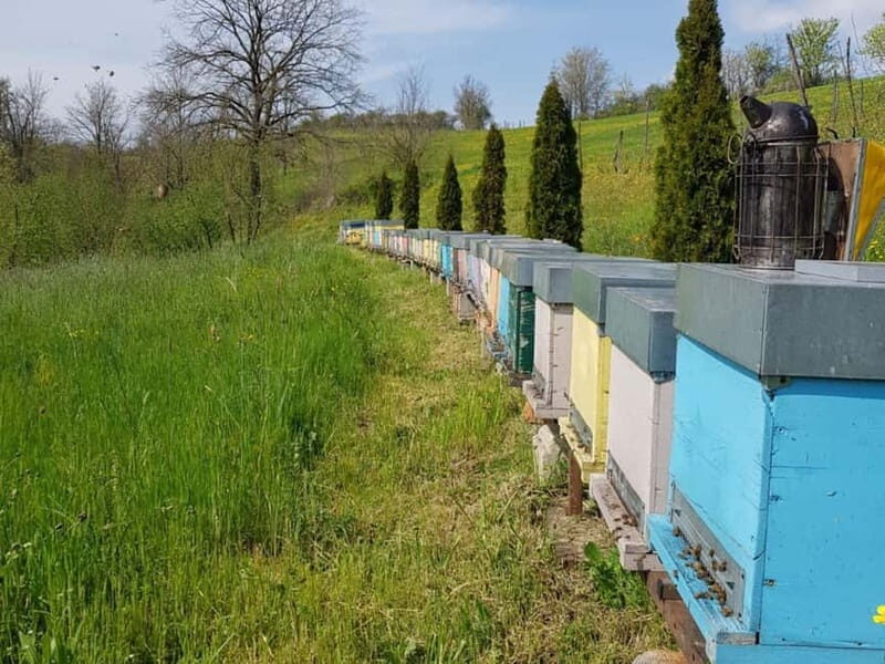 Beekeeping Tour and Honey Tasting Experience in Monferrato - Honey Tasting: A Sweet Finale