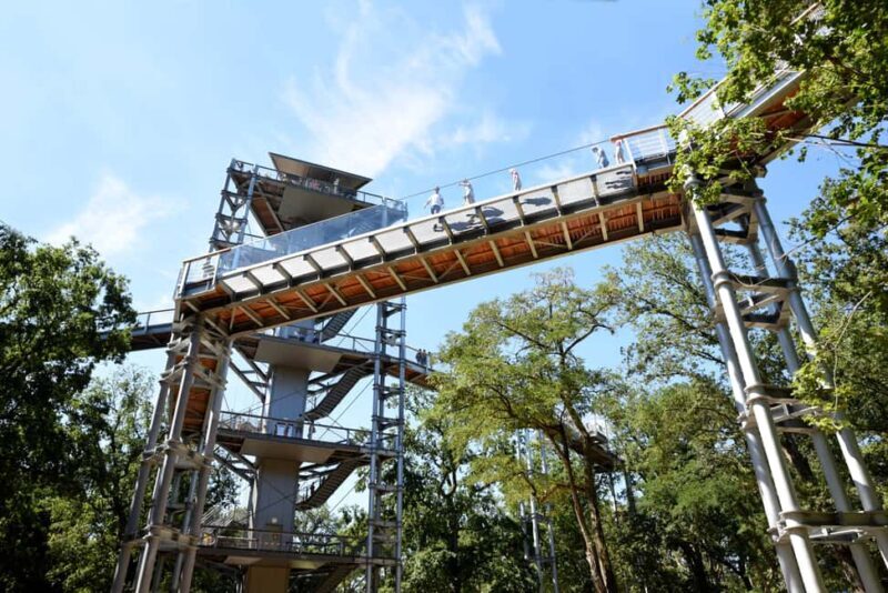 Beelitz-Heilstätten: Baum&Zeit Tree Top Walk Entry Ticket - Key Points