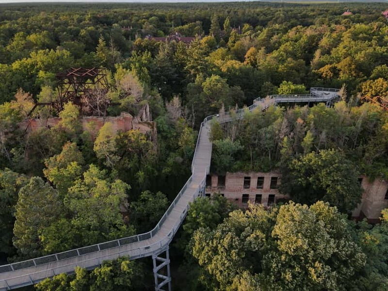 Beelitz-Heilstätten: Baum&Zeit Tree Top Walk Entry Ticket - Key Points