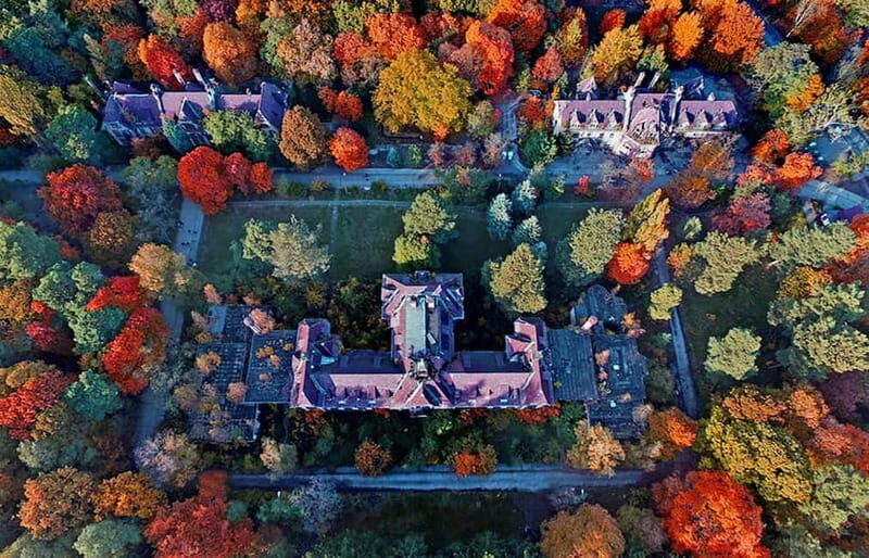 Beelitz-Heilstätten: Baum&Zeit Tree Top Walk Entry Ticket - Practicalities and Tips