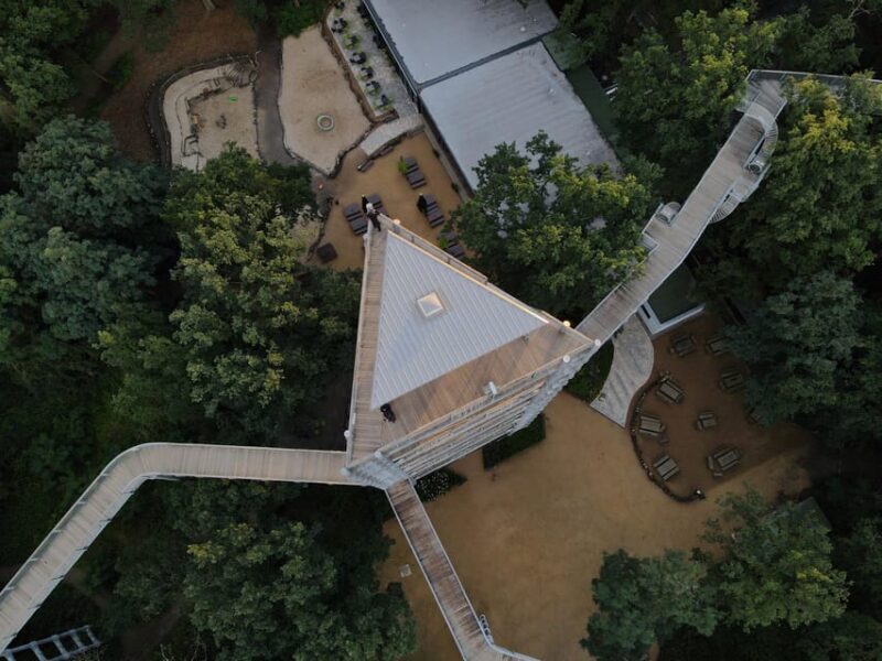 Beelitz-Heilstätten: Baum&Zeit Tree Top Walk Entry Ticket - Who Should Consider This Tour?