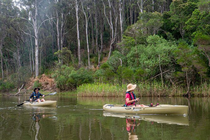 Bega River Kayaking Tour - Key Points