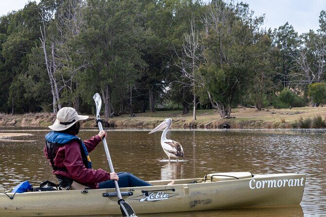 Bega River Kayaking Tour - Who This Tour Is Perfect For