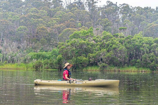 Bega River Kayaking Tour - Final Thoughts