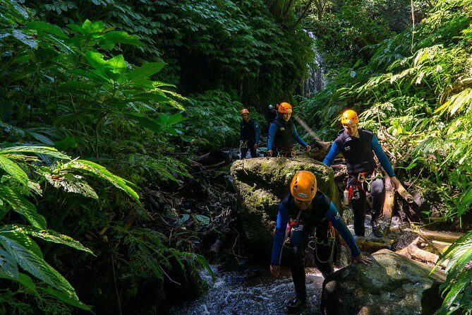 Beginner Canyoning trip in bali "Banyuwana canyon" - The Value of This Canyoning Tour