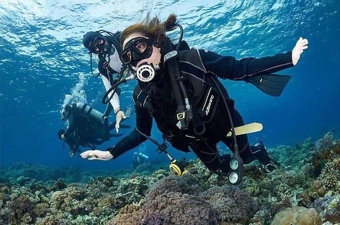 Beginner Discovery Scuba Diving in Anilao 2.5 hours away from Manila** - The Experience Provider and Booking Details