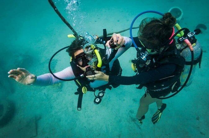 Beginner Discovery Scuba Diving in Anilao 2.5 hours away from Manila** - Authentic Experiences and Traveler Insights