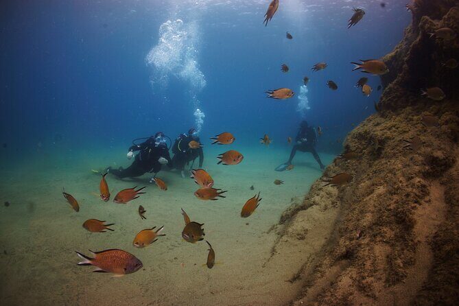 Beginner dive from Playa Chica with Instructor - A Detailed Look at What to Expect