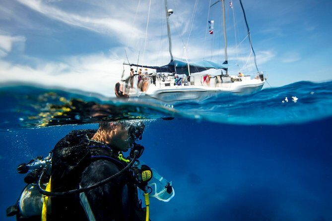 Beginner Diving Experience in Ligaria Bay - Introduction: A Gentle Intro to Underwater Adventures in Crete