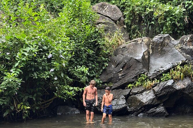 Beginner Forest Hike to a Refreshing Hawaiian Stream - How This Tour Compares to Similar Experiences