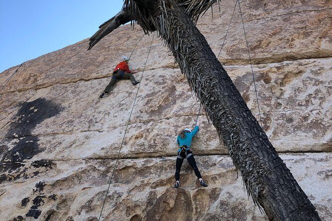 Beginner Group Rock Climbing in Joshua Tree National Park - Introduction: What This Tour Is and Why It’s Worth Considering