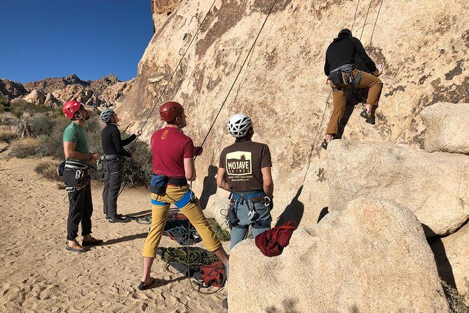Beginner Group Rock Climbing in Joshua Tree National Park - Cost, Value, and Practicalities