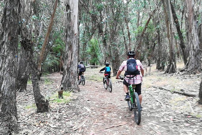 Beginner or Intermediate Mountain Bike Tour of Santa Barbara - Final Thoughts