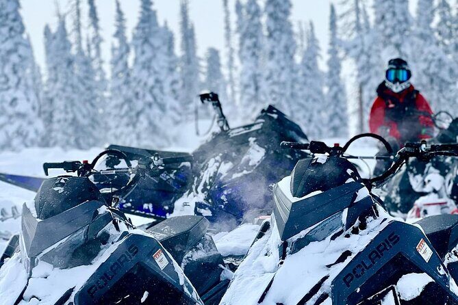 Beginner Private Guided Backcountry Adventure (Full Day) - Overview: What This Tour Offers