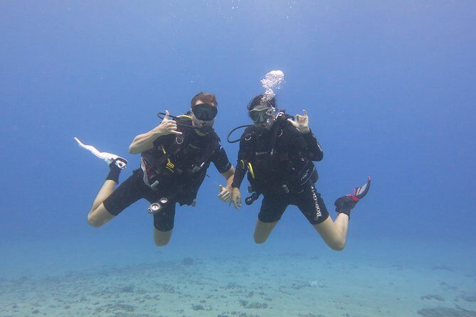 Beginner Scuba Dive in Lahaina: Swimming Required - What Past Participants Say