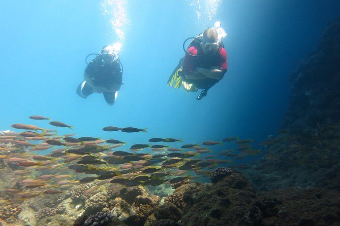 Beginner Scuba Dive in Lahaina: Swimming Required - FAQ