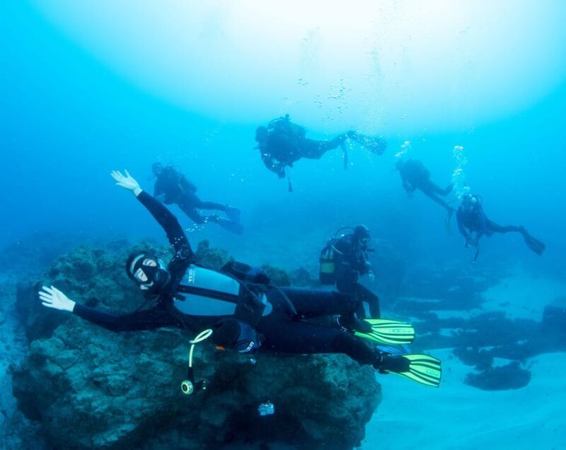 Beginner Scuba Dive with Scubapoint Tenerife in Turtle Area - What’s Included and What to Bring