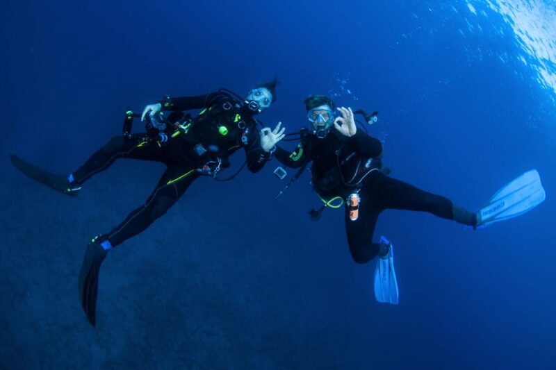 Beginner Scuba Dive with Scubapoint Tenerife in Turtle Area - Practical Details and Considerations
