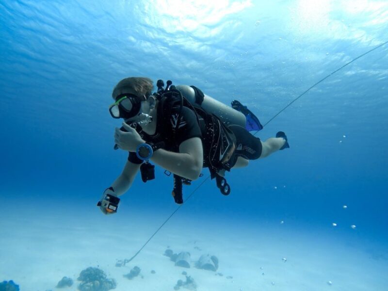 Beginner Scuba Dive with Scubapoint Tenerife in Turtle Area - Authentic Insights from Reviews