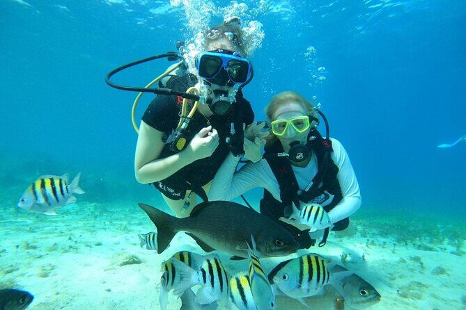 Beginner Scuba Diving Adventure at Chankanaab - Exploring the Tour: What’s in Store?