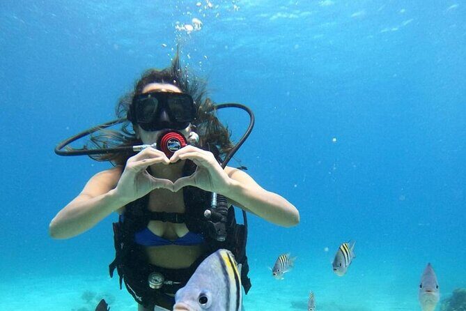 Beginner Scuba Diving Adventure at Chankanaab - Is This Tour Worth It?