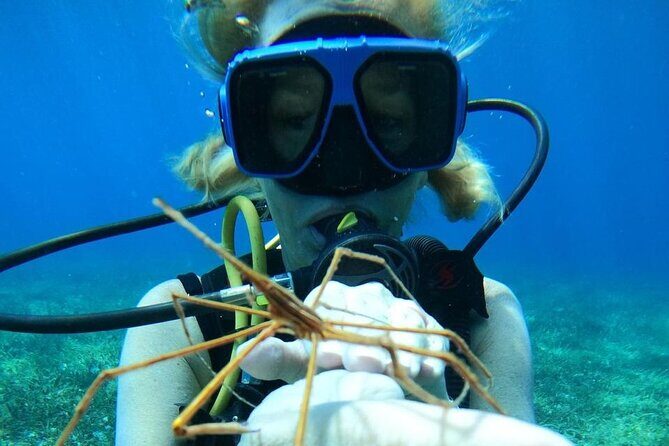 Beginner Scuba Diving Adventure at Chankanaab - Who Should Consider This?