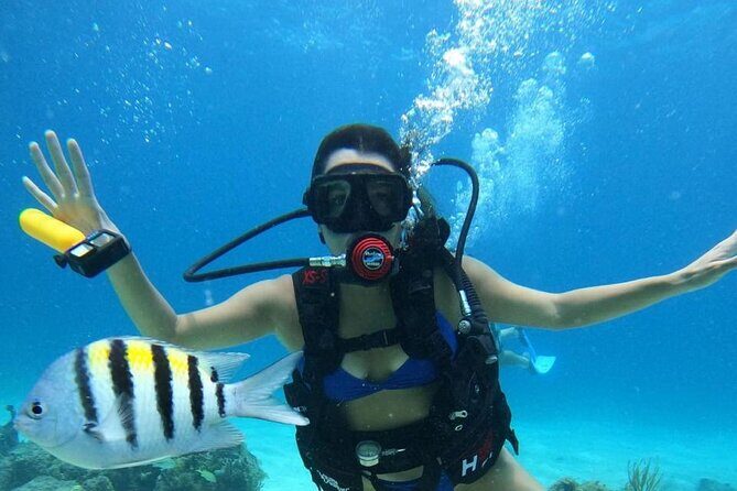 Beginner Scuba Diving Adventure at Chankanaab - FAQ