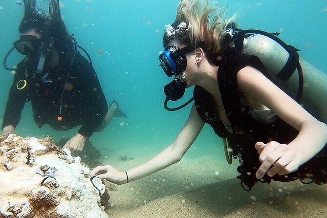 Beginner Scuba Diving Experience With Videos in West Palm Beach - What to Expect from the Tour