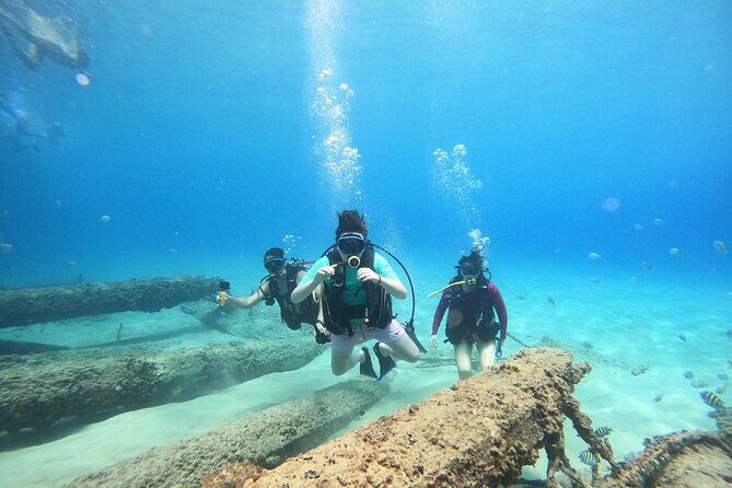 Beginner Scuba Diving Guided Tour - No Experience Required - Key Points