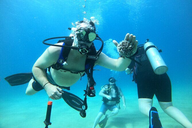 Beginner Scuba Diving Guided Tour - No Experience Required - Who Should Consider This Experience?