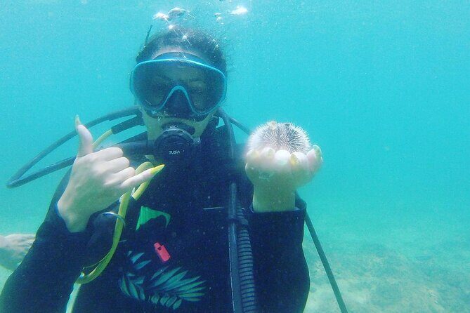 Beginner Scuba Diving Guided Tour - No Experience Required - Frequently Asked Questions