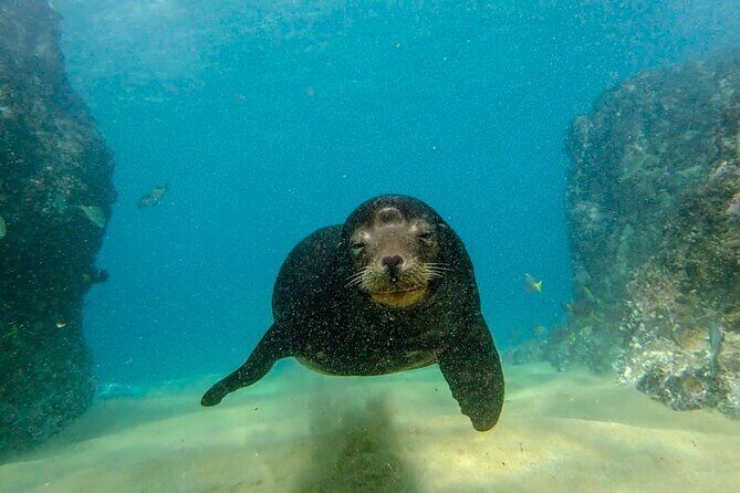 Beginner Scuba Diving in Cabo San Lucas - Final Thoughts
